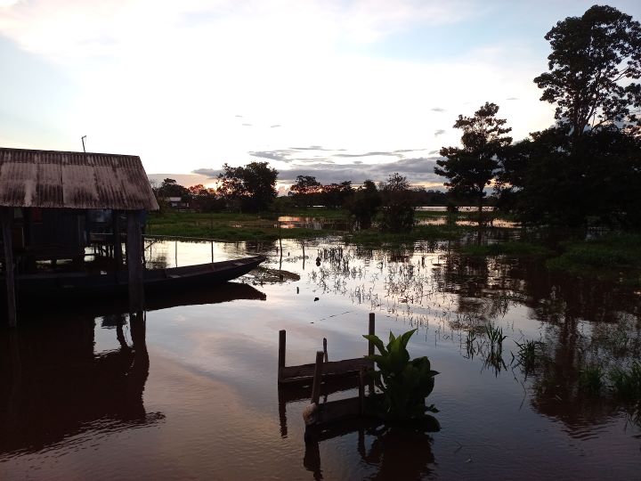 Was ist eine Várzea? - Klaus Reuss